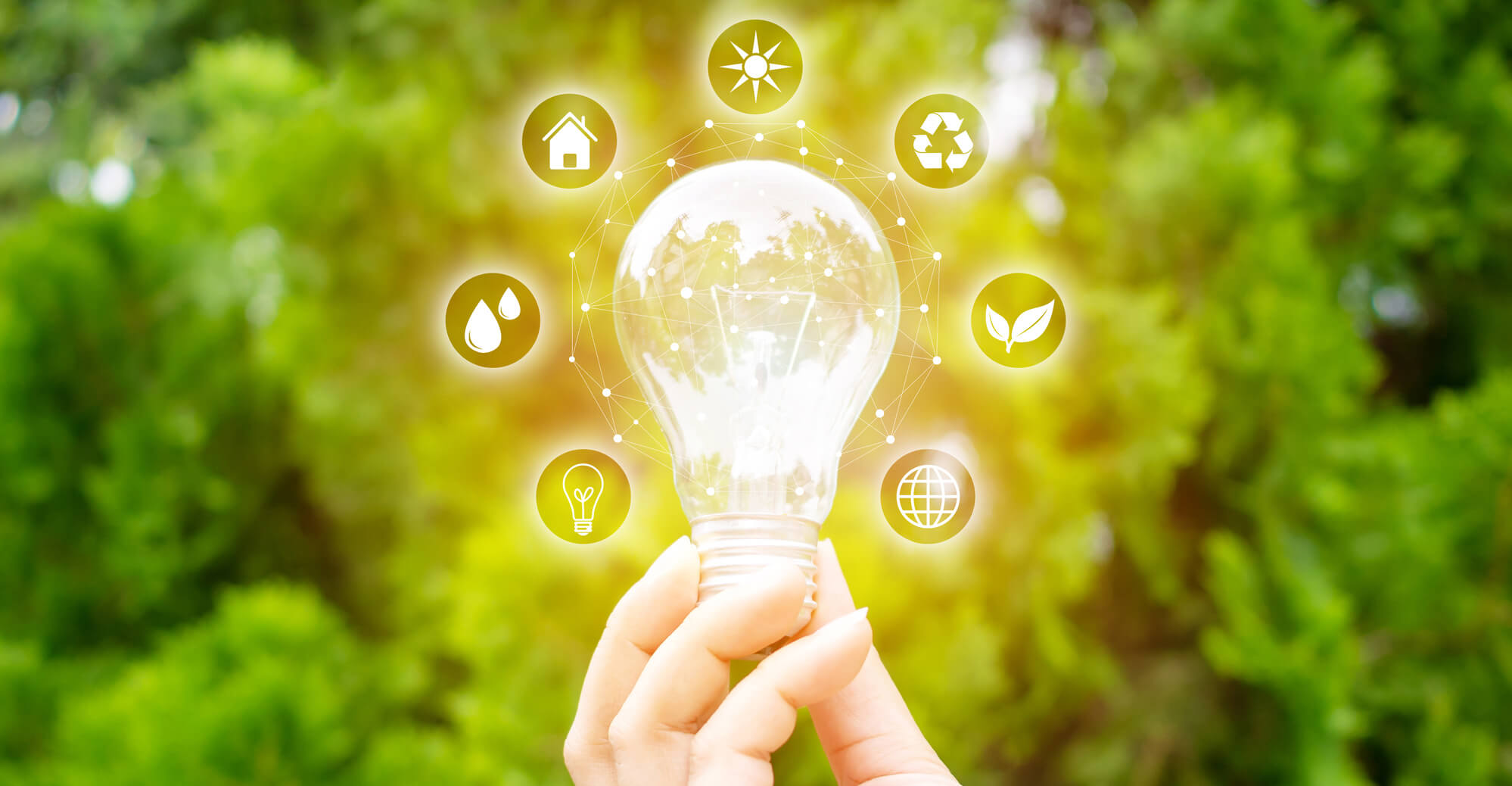 Getting ISO 14001 Consulting in Georgia (GA)